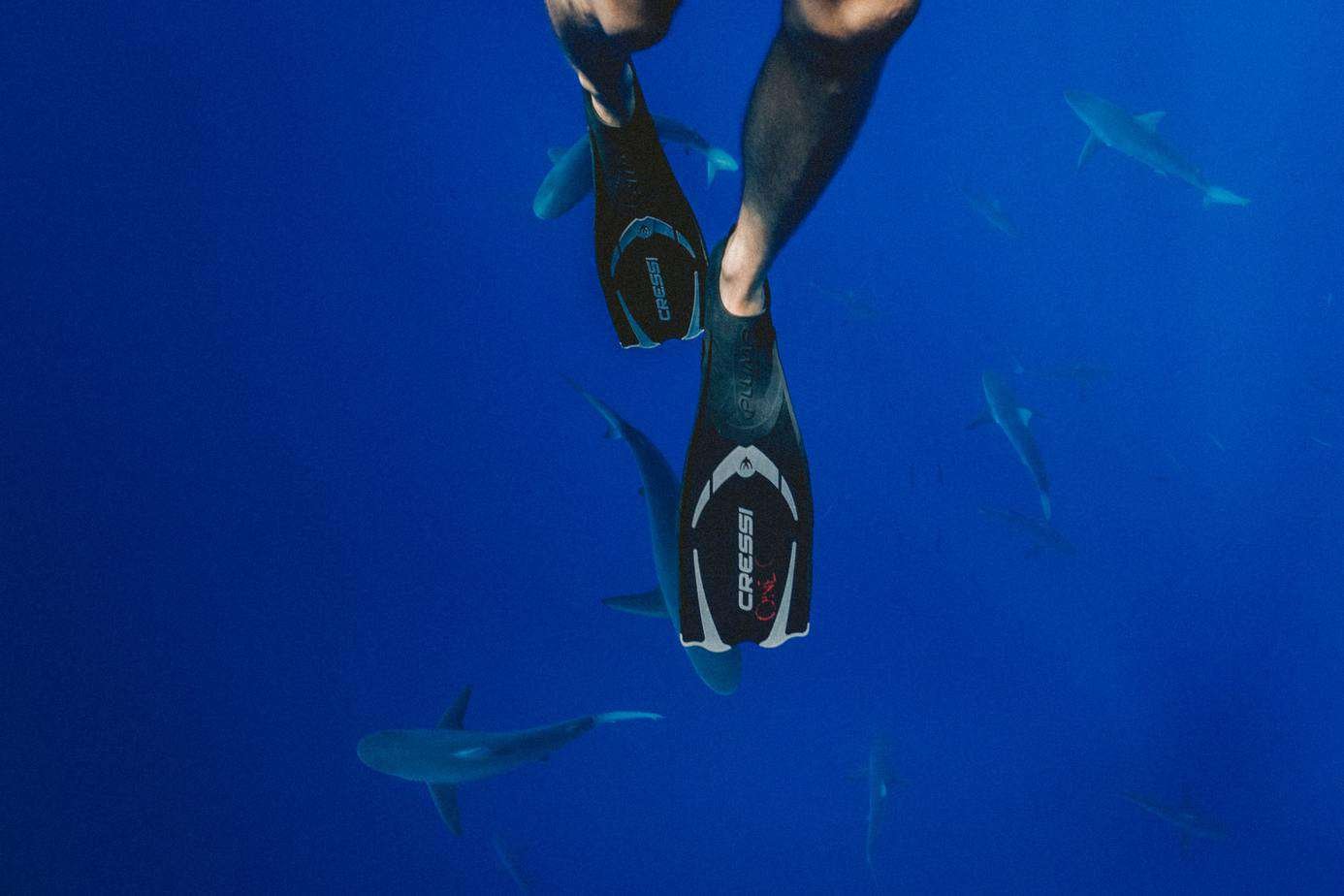 3 Best Fins for Strong Currents and Deep Sea Scuba Diving