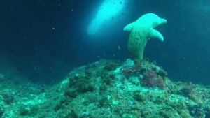 15 Best Places to Scuba Dive in Europe - Underwater Mag