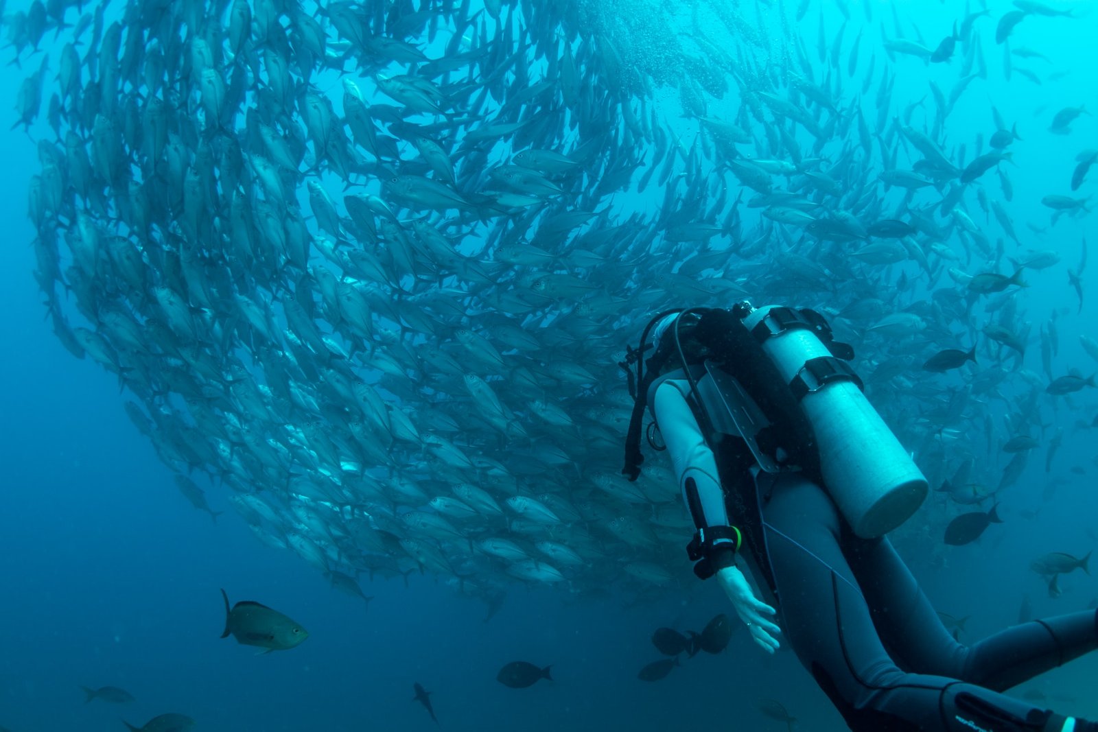 What is the Best Place for Deep Sea Diving? Here are 10 Iconic Spots!