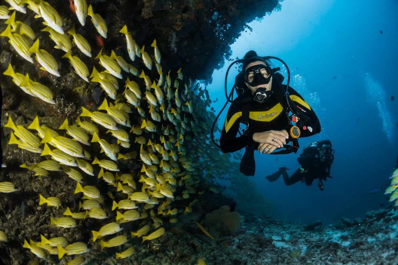 Best Scuba Diving Places in the World - Underwater Mag